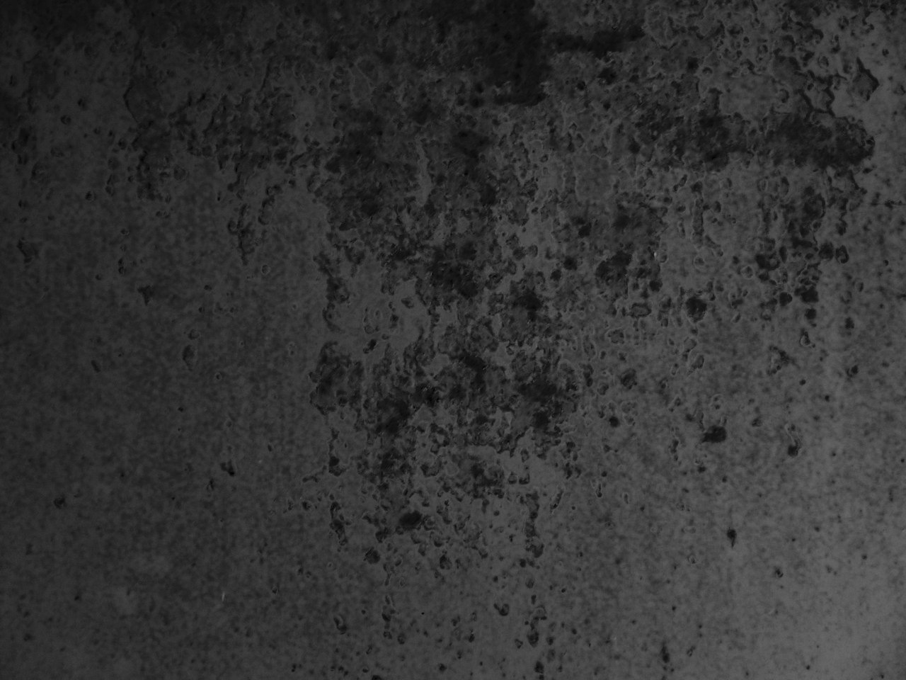 Depot – The Great War, 1914-1918